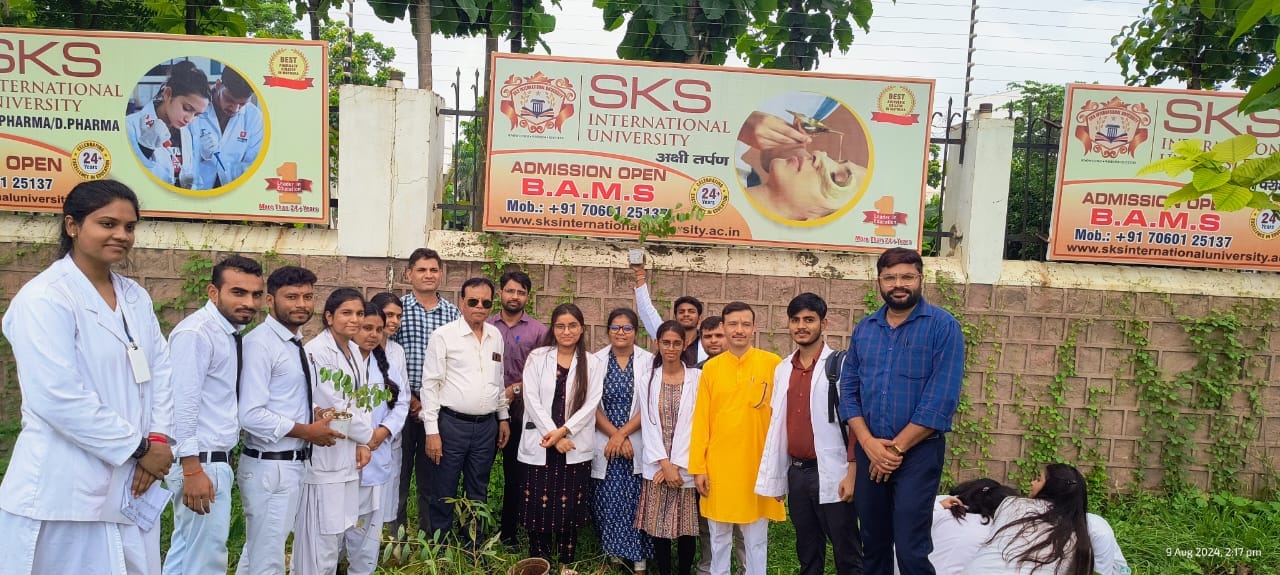 Learn the Power Tulsi @ Low BAMS Course Fee in UP in 2025 - Best ...
